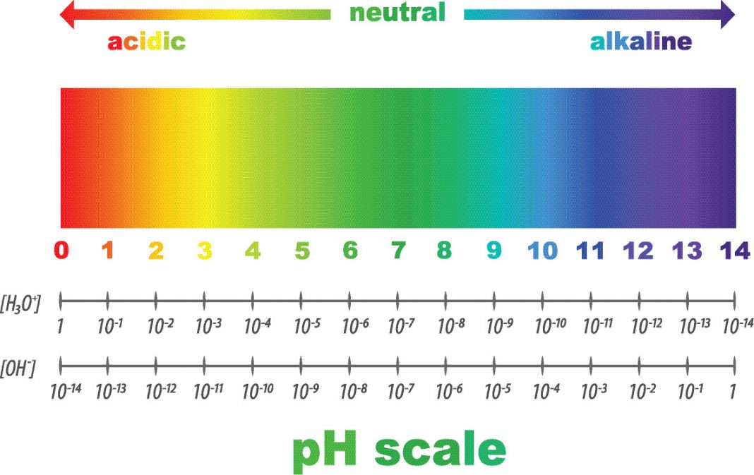 The More Alkaline The Better? Is A PH Of 9.5 Healthier Than 7.5 In ...